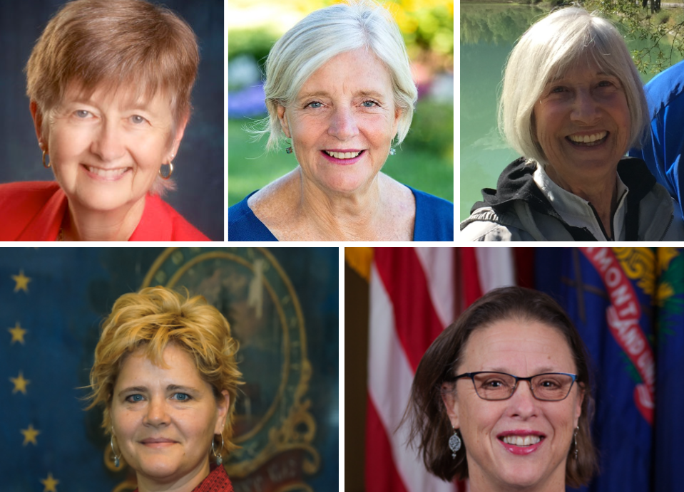 Rep. Ann Pugh latest House chairwoman not seeking re-election - Vermont ...