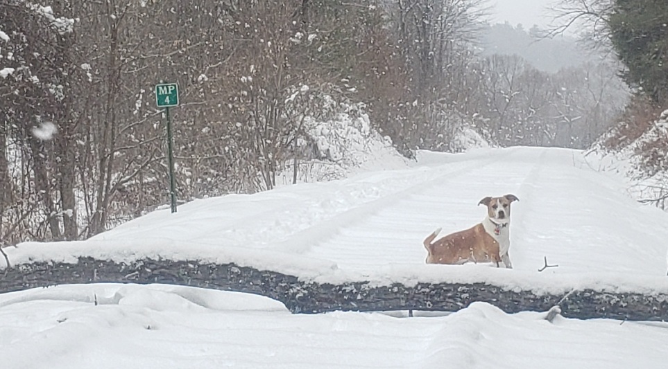 More than 8,000 customers still without power from weekend blizzard ...