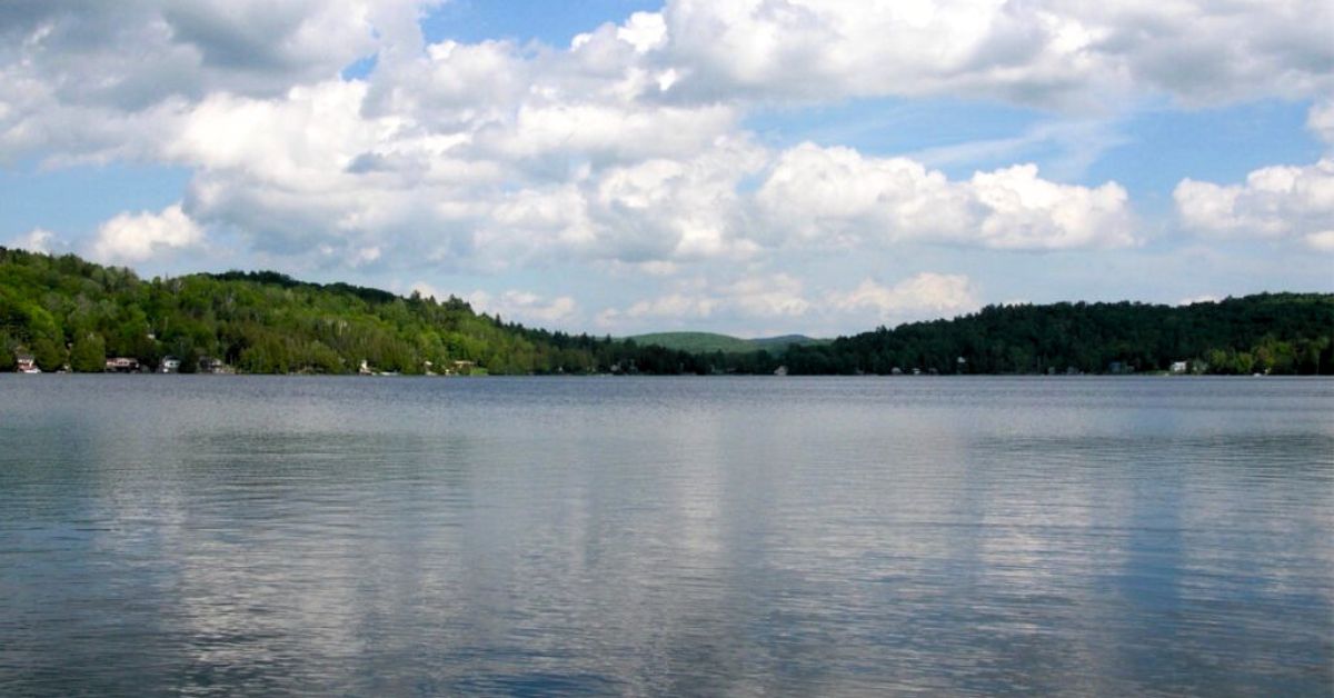 NEK lake celebrates 5 years Eurasian milfoil-free - Vermont Daily Chronicle