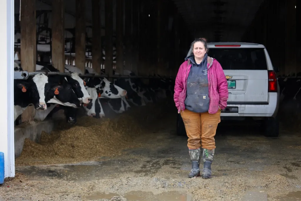 When a fire displaced 400 cows in Sheldon, farmers and friends stepped ...