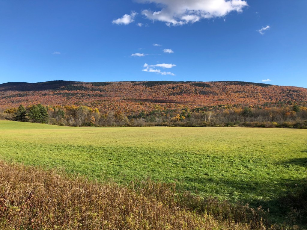 Satcowitz: Updating Act 250 to meet the changing times - Vermont Daily ...