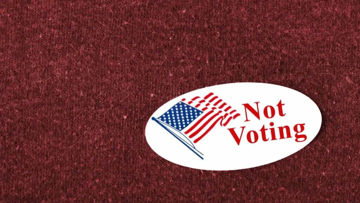 Smith: Why I elect not to vote - Vermont Daily Chronicle