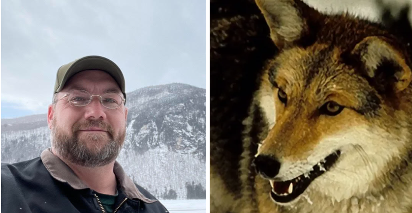 Covey: In hunting predators, what is ‘fair’? - Vermont Daily Chronicle