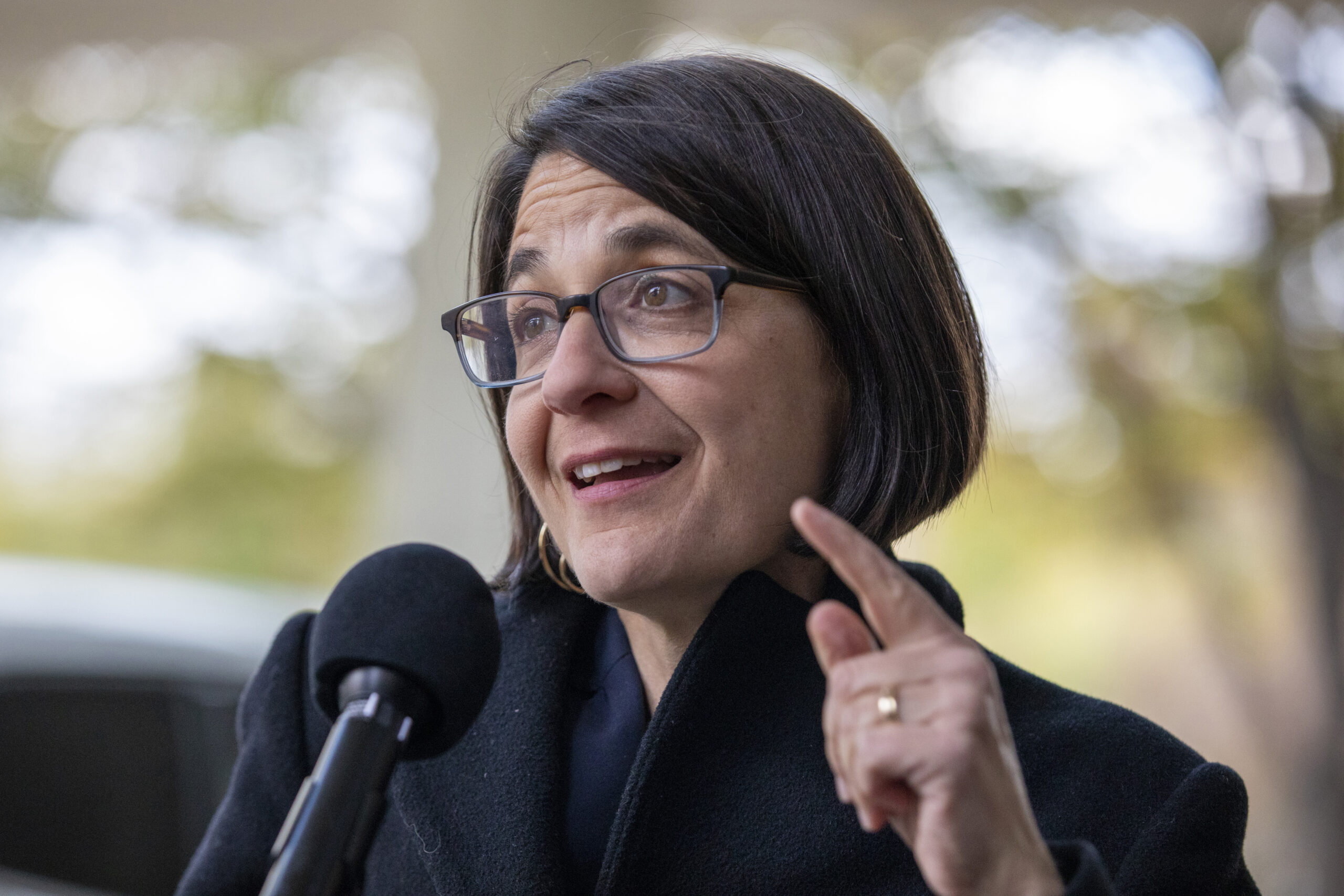 Baker: Becca Balint, the selective defender of the Constitution ...